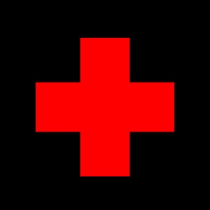 Disaster relief: how and where to donate or volunteer (hawaiionthecheap ...